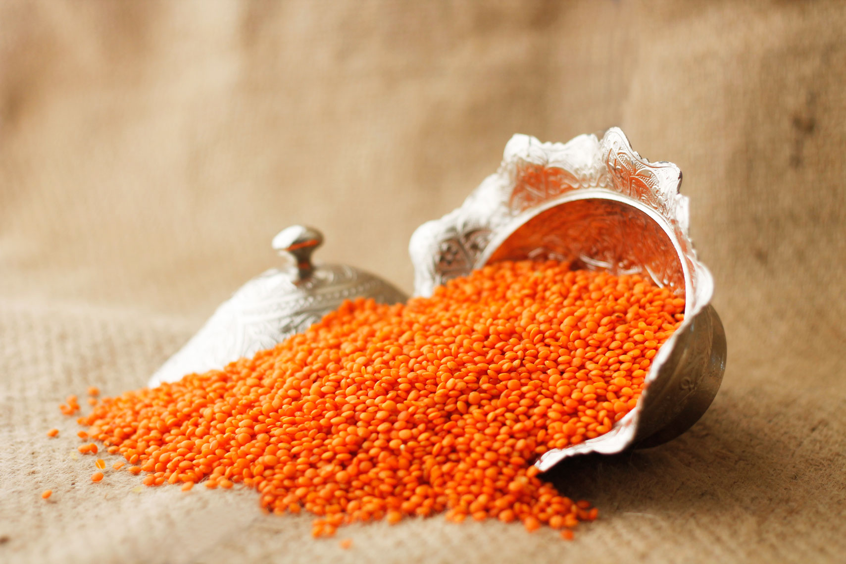 Mercimek – Bayeks Agro – Gıda – Mersin